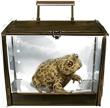 Natterjack Toad | Pottermore Wiki | Fandom