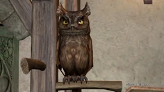 Screech Owl | Pottermore Wiki | Fandom