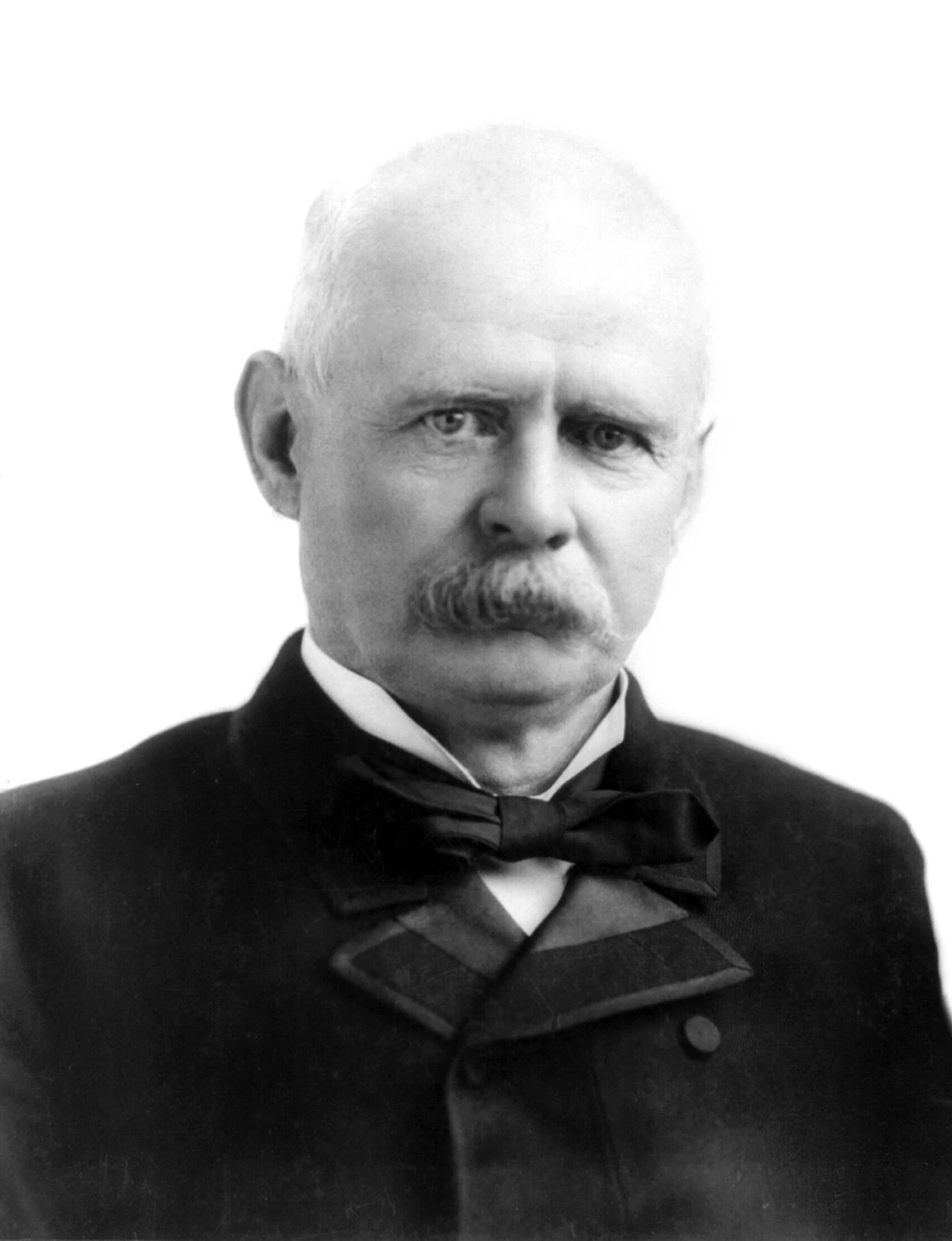 Adlai Stevenson I | President Wiki | Fandom