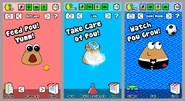 Pou | Wiki Pou | Fandom