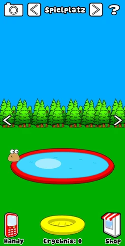 Pool | Pou Wiki | Fandom