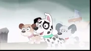 Patches | Pound Puppies 2010 Wiki | Fandom