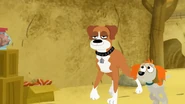 Yipper | Pound Puppies 2010 Wiki | Fandom