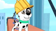 Patches | Pound Puppies 2010 Wiki | Fandom