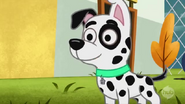 Patches | Pound Puppies 2010 Wiki | Fandom