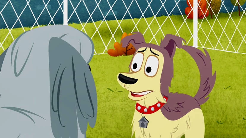 Discuss Everything About Pound Puppies 2010 Wiki | Fandom