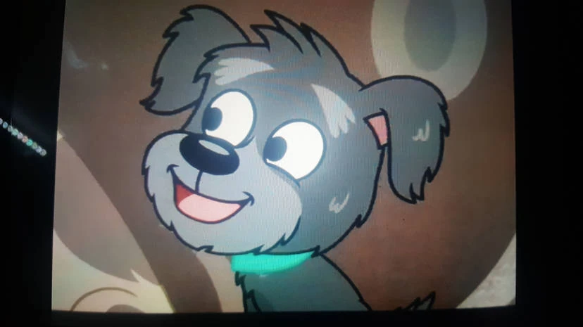 Discuss Everything About Pound Puppies 2010 Wiki | Fandom