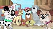 Niblet | Pound Puppies 2010 Wiki | Fandom