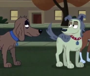 Ralph | Pound Puppies 2010 Wiki | Fandom