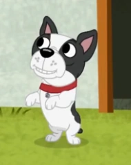 Bobo | Pound Puppies 2010 Wiki | Fandom