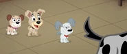 Cupcake | Pound Puppies 2010 Wiki | Fandom