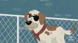 Salty | Pound Puppies 2010 Wiki | Fandom