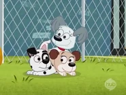 Patches | Pound Puppies 2010 Wiki | Fandom