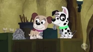 Patches | Pound Puppies 2010 Wiki | Fandom