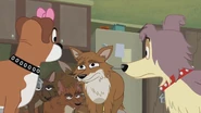 Fang | Pound Puppies 2010 Wiki | Fandom