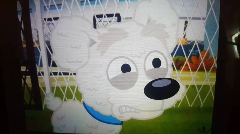 Discuss Everything About Pound Puppies 2010 Wiki | Fandom