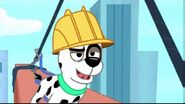 Patches | Pound Puppies 2010 Wiki | Fandom