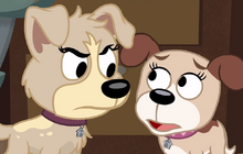 Cupcake | Pound Puppies 2010 Wiki | Fandom