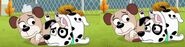 Cupcake | Pound Puppies 2010 Wiki | Fandom