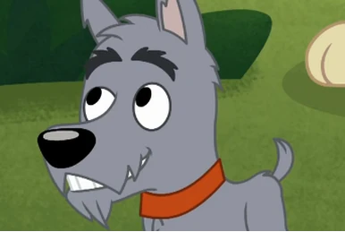 John W Carson Foundation