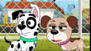 Cupcake | Pound Puppies 2010 Wiki | Fandom