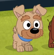 Farfel | Pound Puppies 2010 Wiki | Fandom