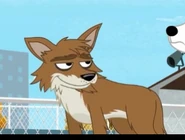 Fang | Pound Puppies 2010 Wiki | Fandom