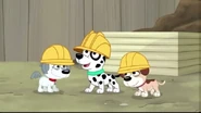 Patches | Pound Puppies 2010 Wiki | Fandom