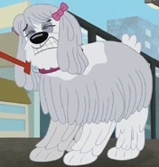 Giblet | Pound Puppies 2010 Wiki | Fandom
