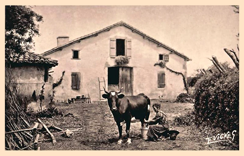 La ferme Mathurin | Wiki Poutineville | Fandom