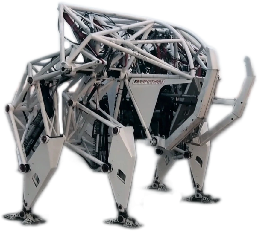 Prosthesis (Real Life) | Power Level World Wiki | Fandom