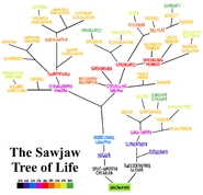 Serina: A natural History of the World of Birds | Power Level World ...