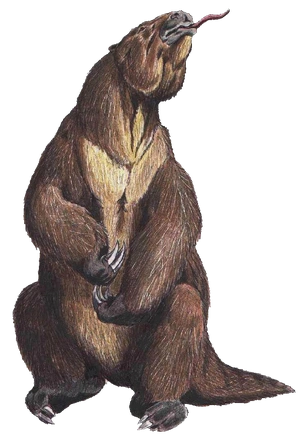 Megatherium (Real Life) | Power Level World Wiki | Fandom
