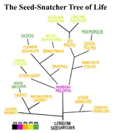 Serina: A natural History of the World of Birds | Power Level World ...