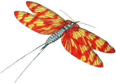 Mazothairos (Real Life) | Power Level World Wiki | Fandom