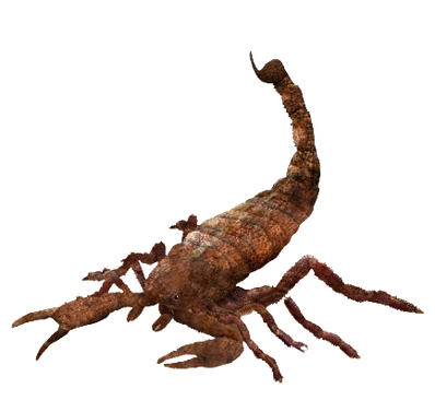 Brontoscorpio (Real Life) | Power Level World Wiki | Fandom