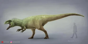 The Real World | Power Level World Wiki | Fandom