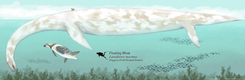 Floating Bloat | Power Level World Wiki | Fandom