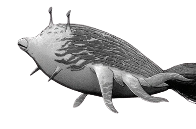 Reef Glider | Power Level World Wiki | Fandom