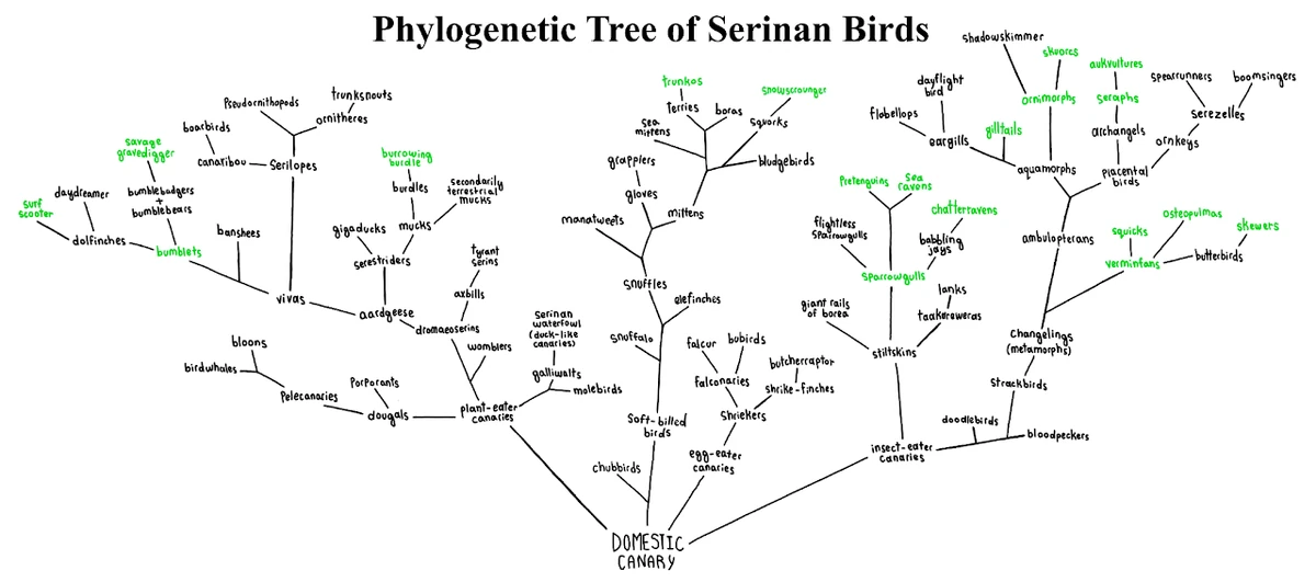 Serina: A natural History of the World of Birds | Power Level World ...