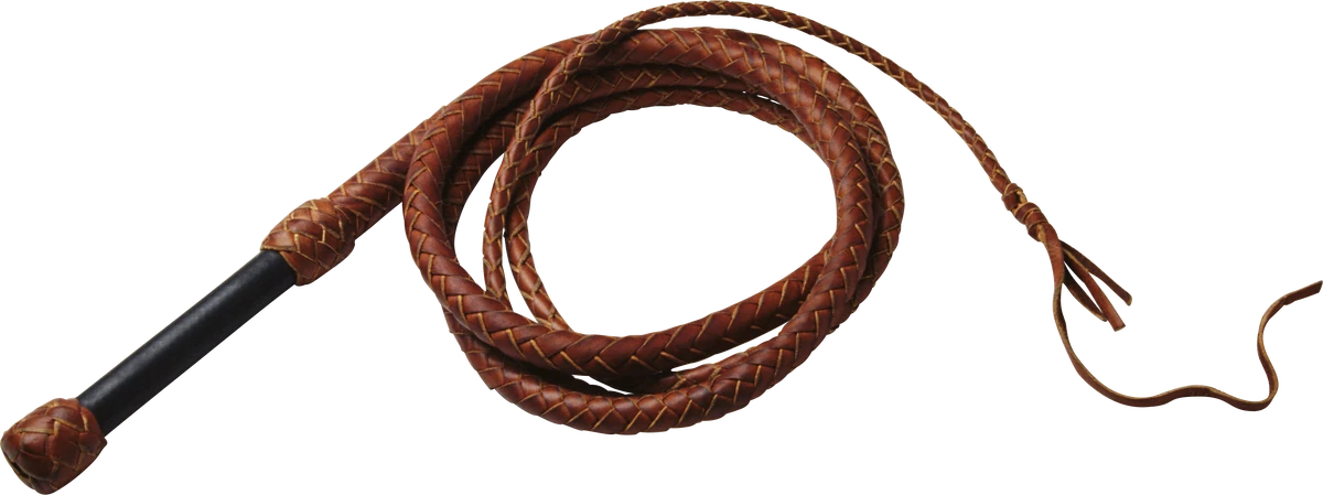 Whip (Real Life) | Power Level World Wiki | Fandom