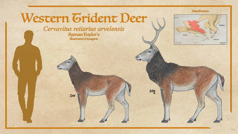 Cervavitus (Tales of Kaimere) | Power Level World Wiki | Fandom