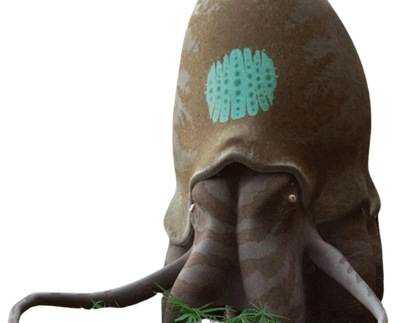 Megasquid | Power Level World Wiki | Fandom