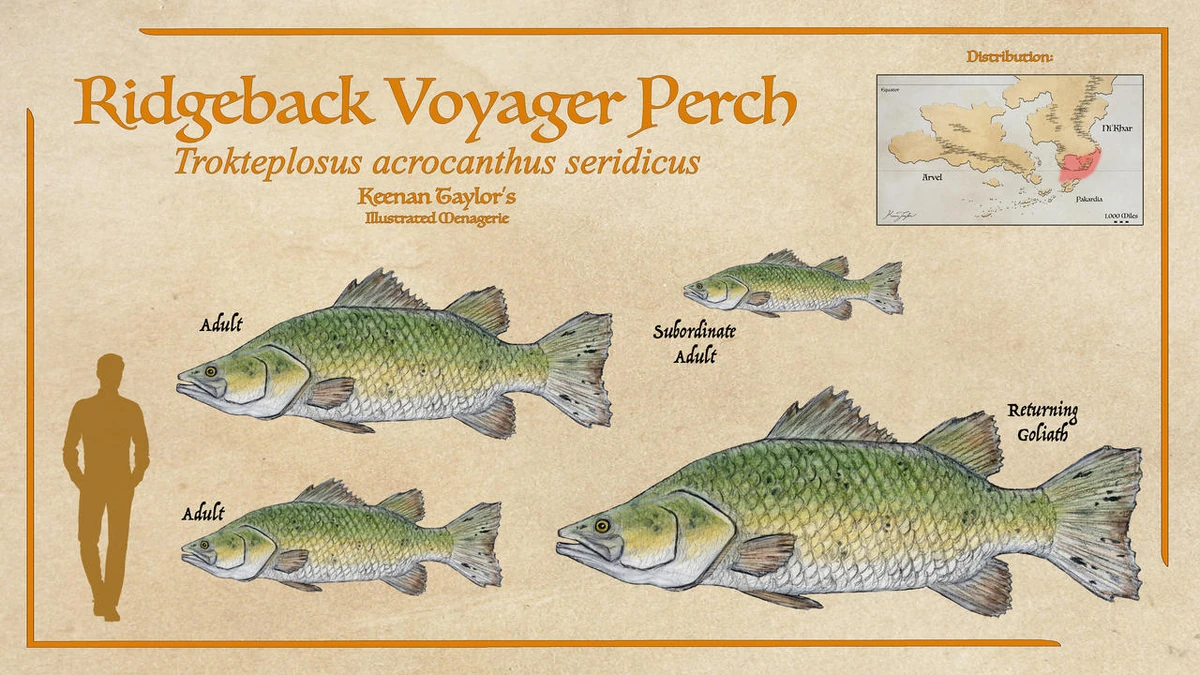 Ridgeback Voyager Perch | Power Level World Wiki | Fandom