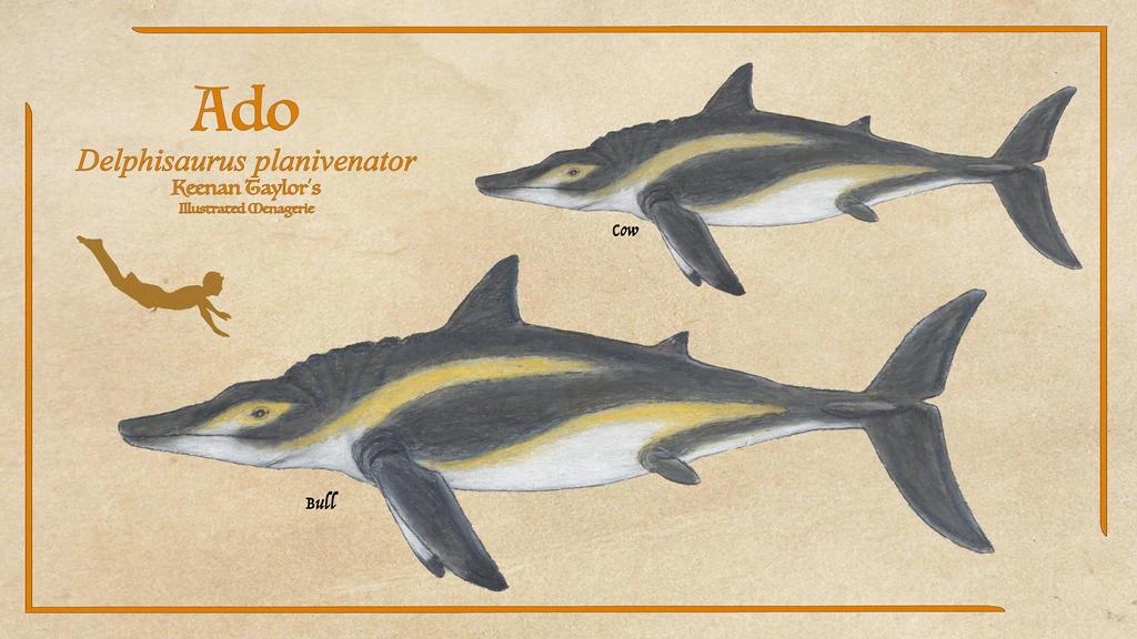 Ado | Power Level World Wiki | Fandom