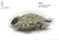 Serina: A natural History of the World of Birds | Power Level World ...