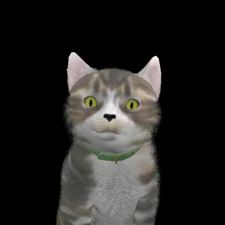 My Stella | Power Mom! Wiki | Fandom