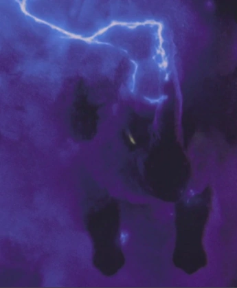 Rhino | Power Rangers Hero Force Wiki | Fandom