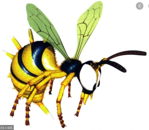 King Zing | Power Rangers Hero Force Wiki | Fandom