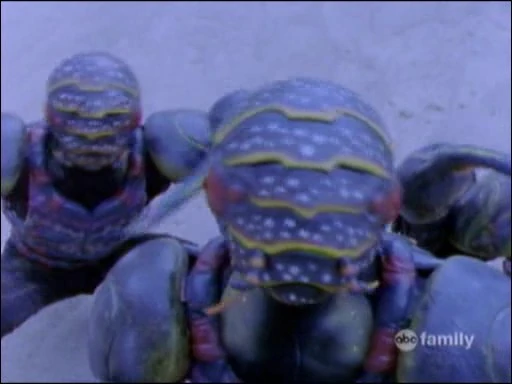 Stingwingers | Power Rangers: Lost Galaxy Fan-Film Series Wiki | Fandom